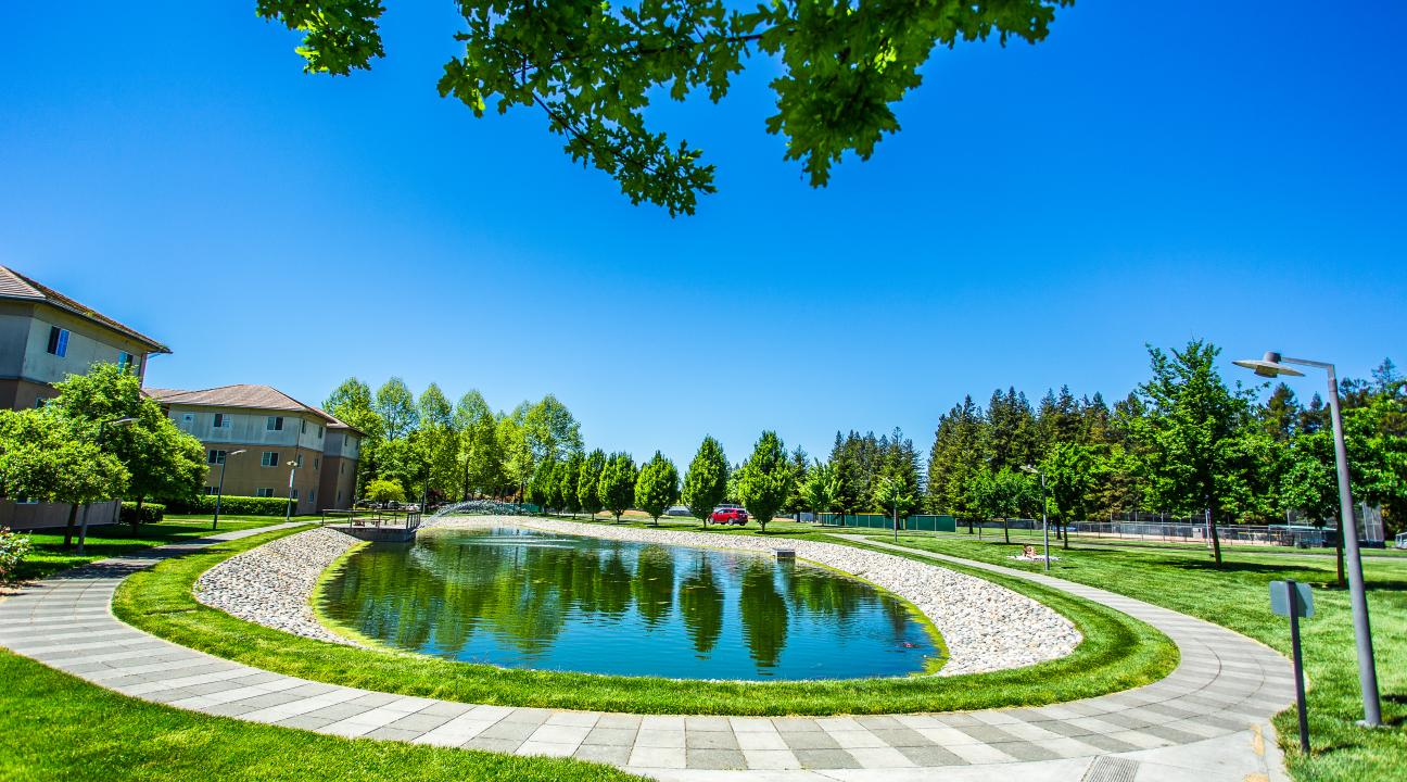 SSU Student Housing Offers More Than a Dorm Life | SSU News at Sonoma ...